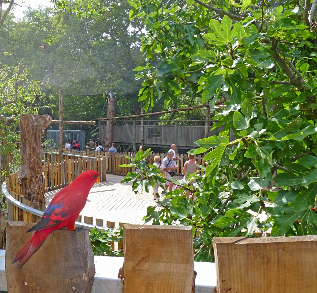 Zoo en images – Zoo des Sables d'Olonne