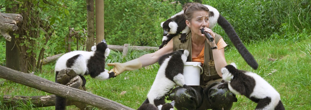 Zoo des Sables d'Olonne – L'Ecozoo des Sables d'Olonne