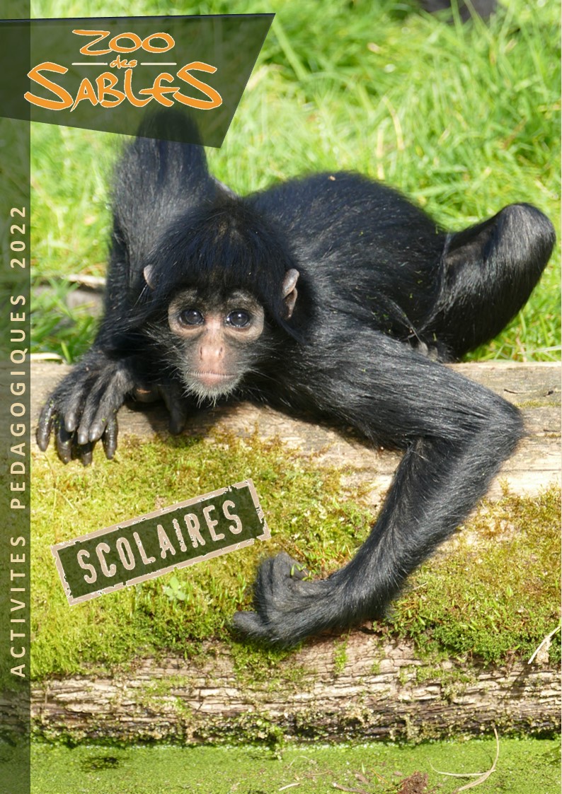 Scolaires et Centres – Zoo des Sables d'Olonne