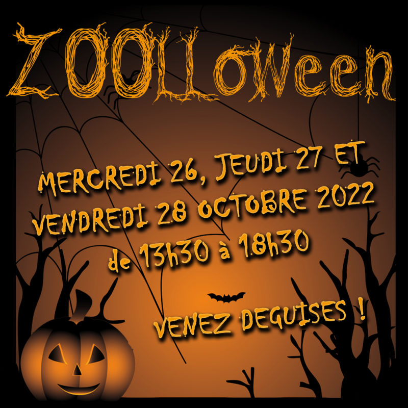 Zoo des Sables d'Olonne – L'Ecozoo des Sables d'Olonne