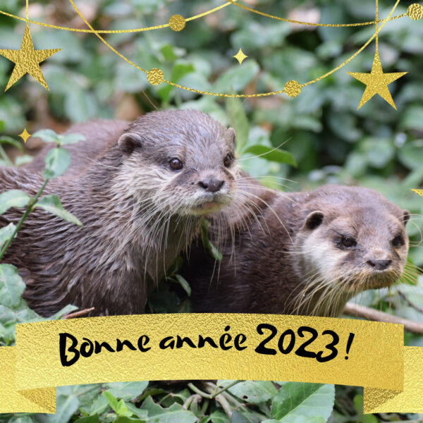 Zoo des Sables d'Olonne – L'Ecozoo des Sables d'Olonne