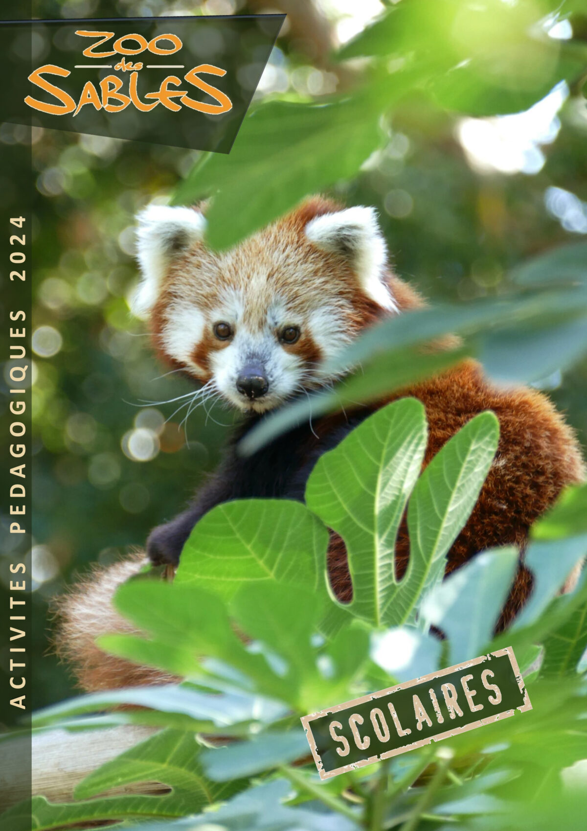 Scolaires et Centres – Zoo des Sables d'Olonne