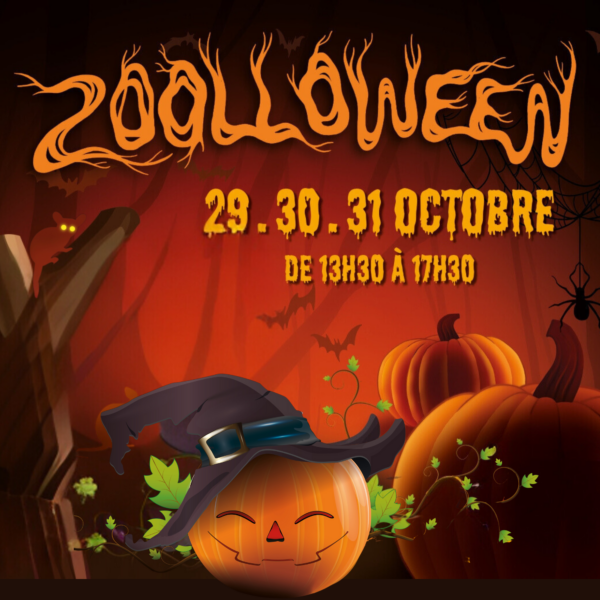 Zoo des Sables d'Olonne – L'Ecozoo des Sables d'Olonne