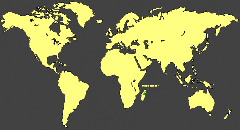 Goodman’s mouse lemur – Zoo des Sables d'Olonne