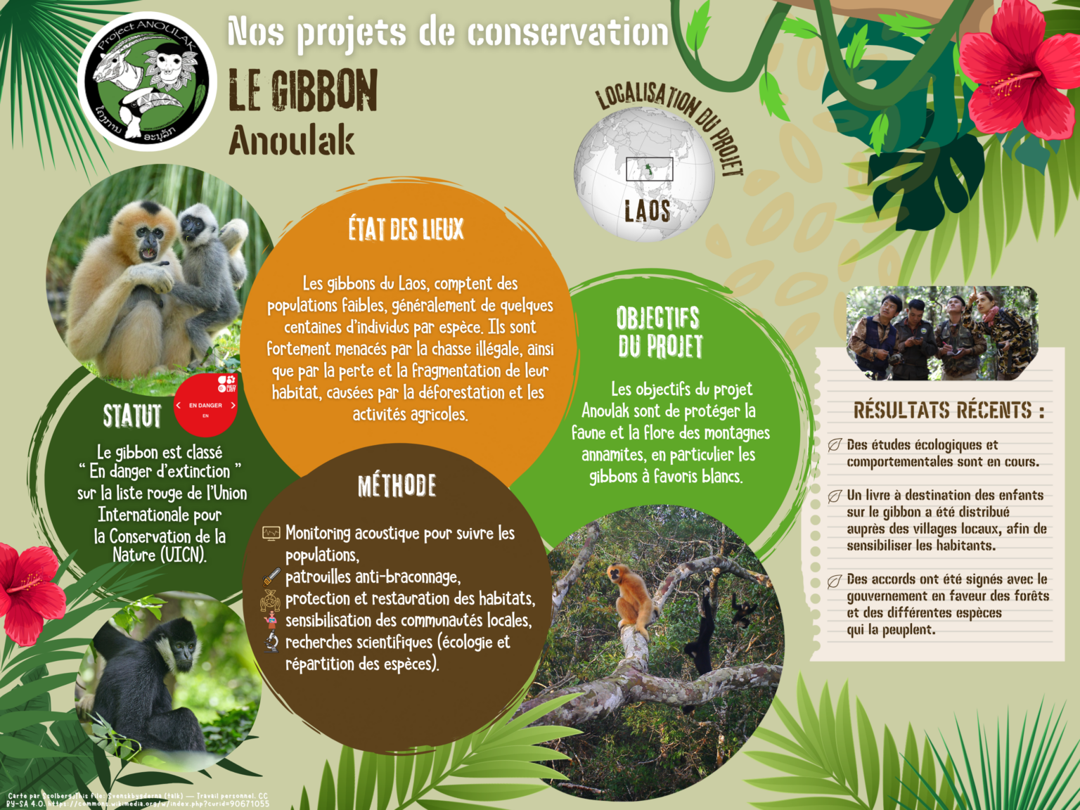Gibbon project – Zoo des Sables d'Olonne